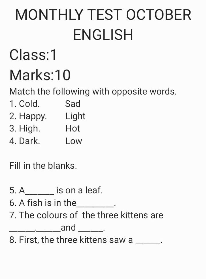 Monthly Test October - English - Subjective Test - Teachmint