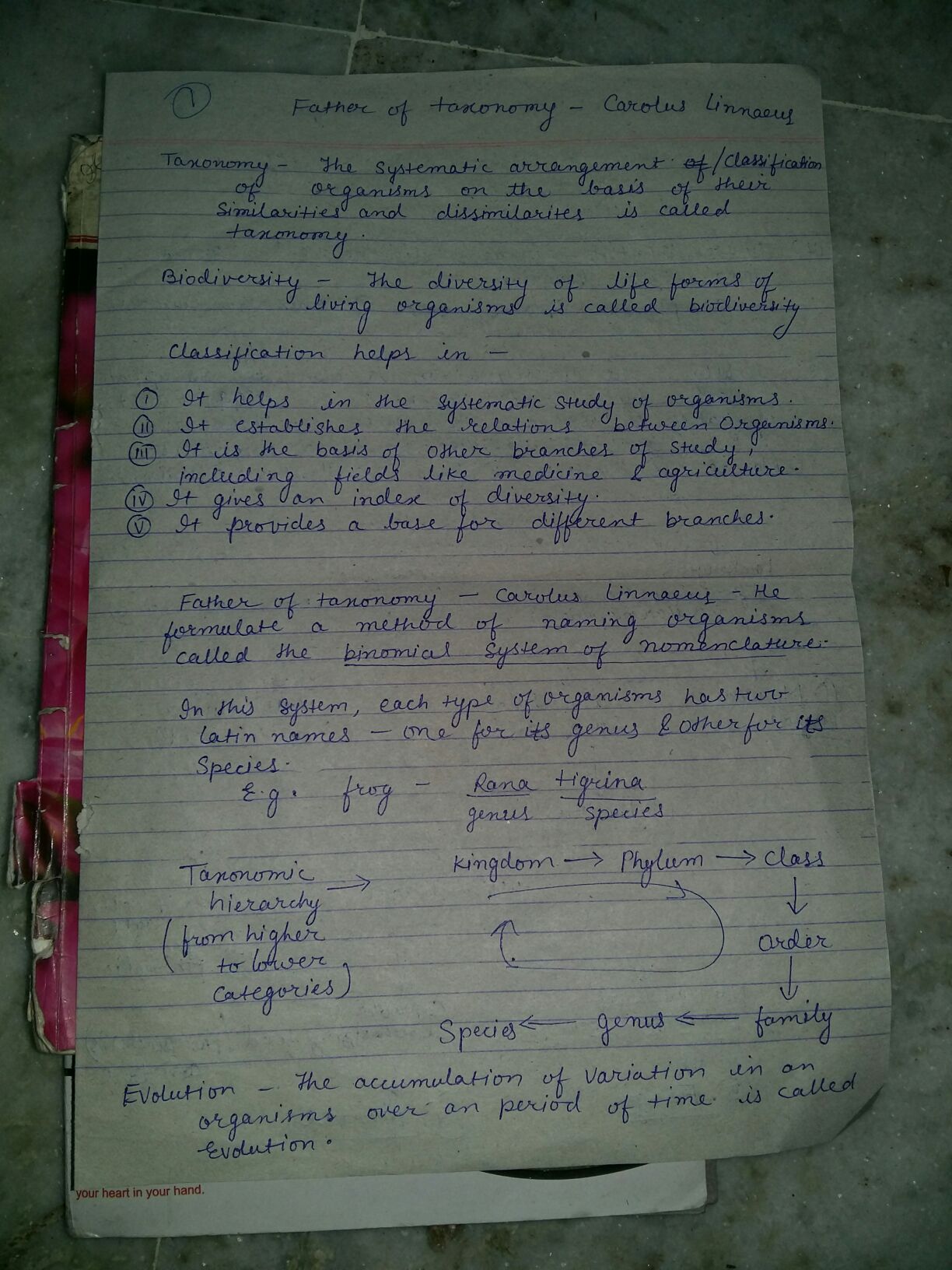 Diversity ch 7 - Science - Assignment - Teachmint