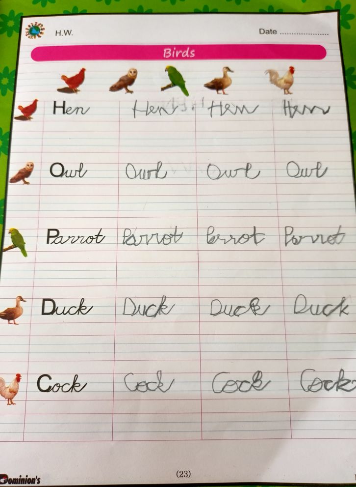 Birds - Environmental Studies (EVS) - Assignment - Teachmint