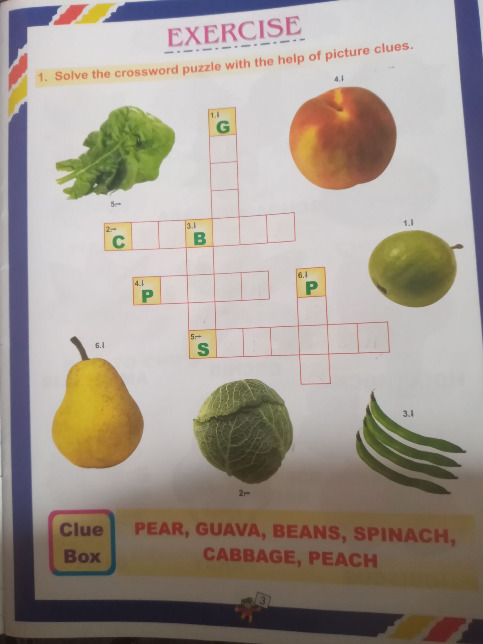 Worksheet - EVS - Assignment - Teachmint