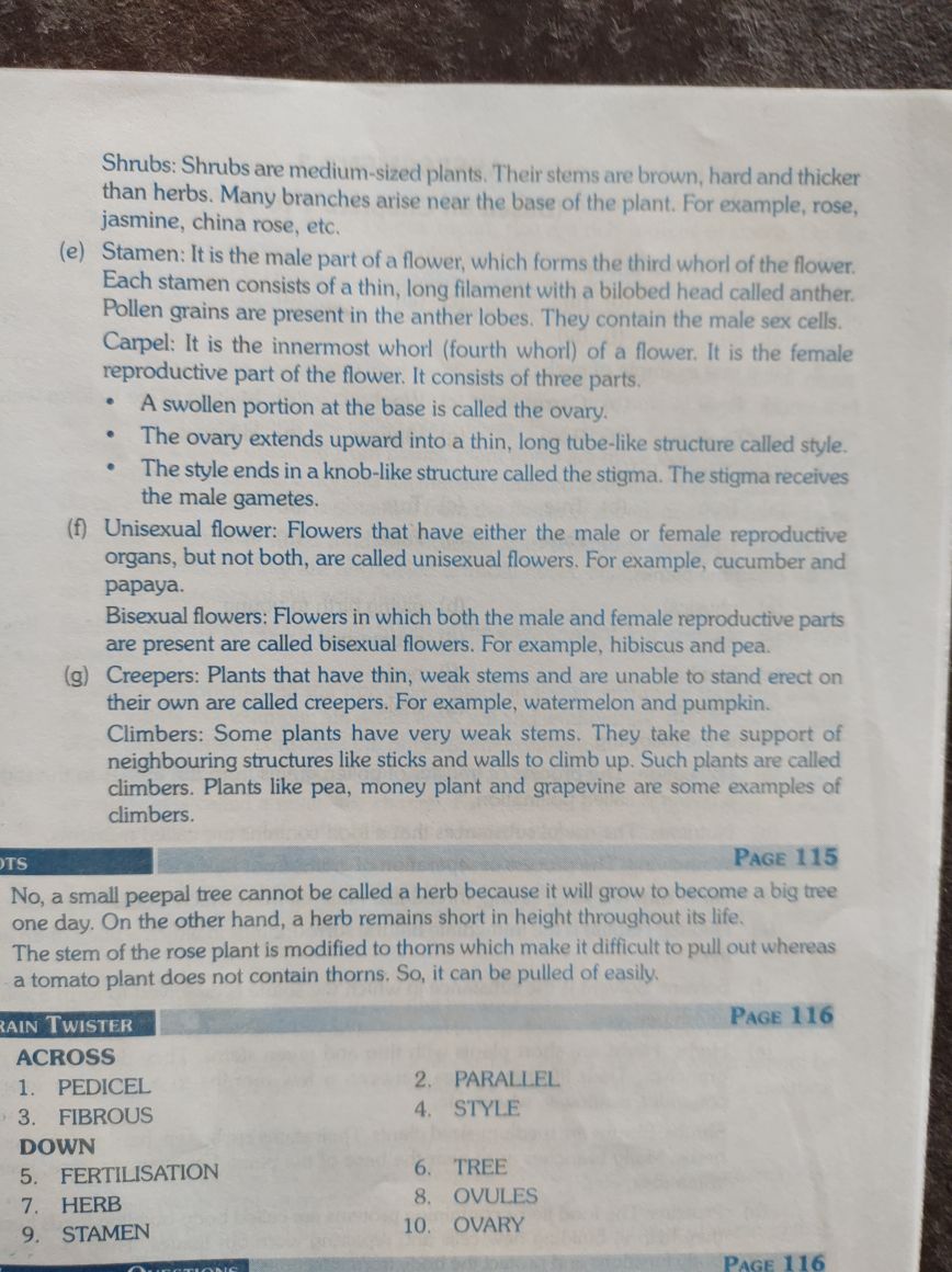 Chapter 9 Answer Key 5 - Kannada - Notes - Teachmint
