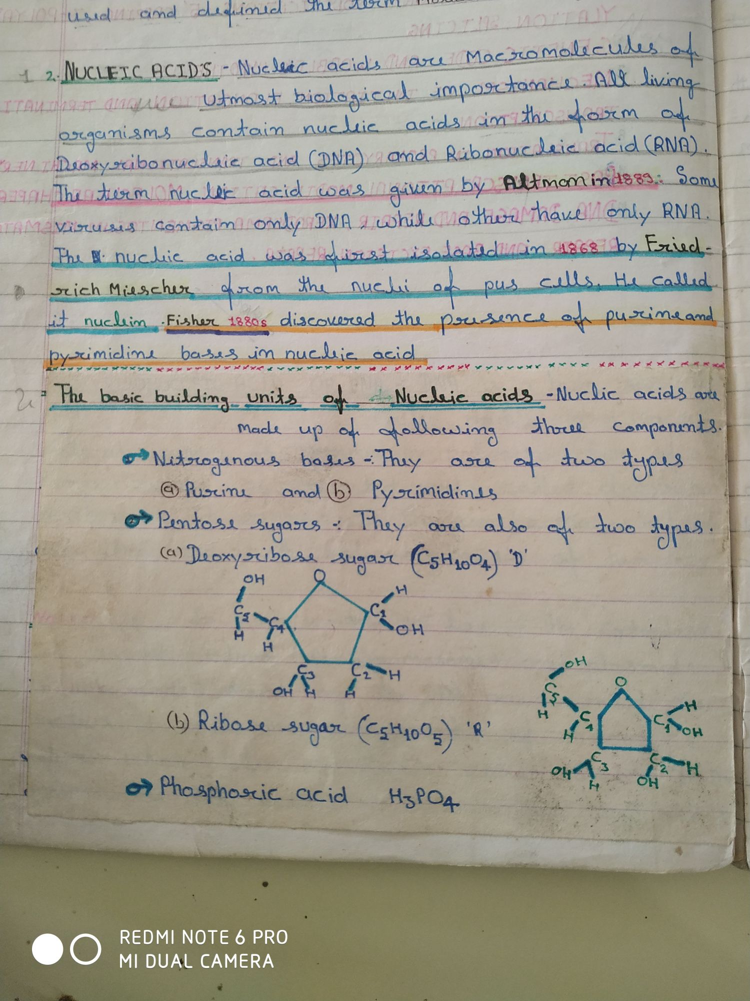 Nucleic Acids - Zoology - Notes - Teachmint