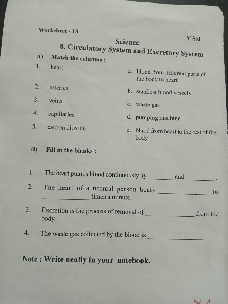 Circulatory System and Excretory System - Science - Assignment - Teachmint