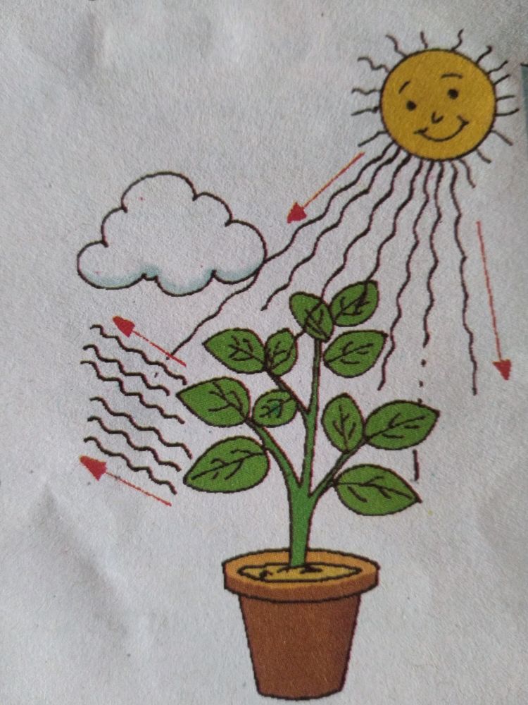 Need Of Clean Air - EVS - Assignment - Teachmint