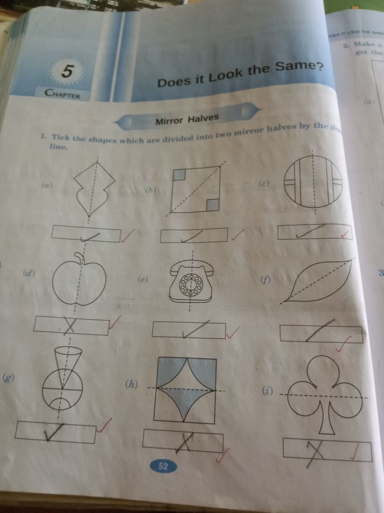 Mirror Halves - Maths - Assignment - Teachmint