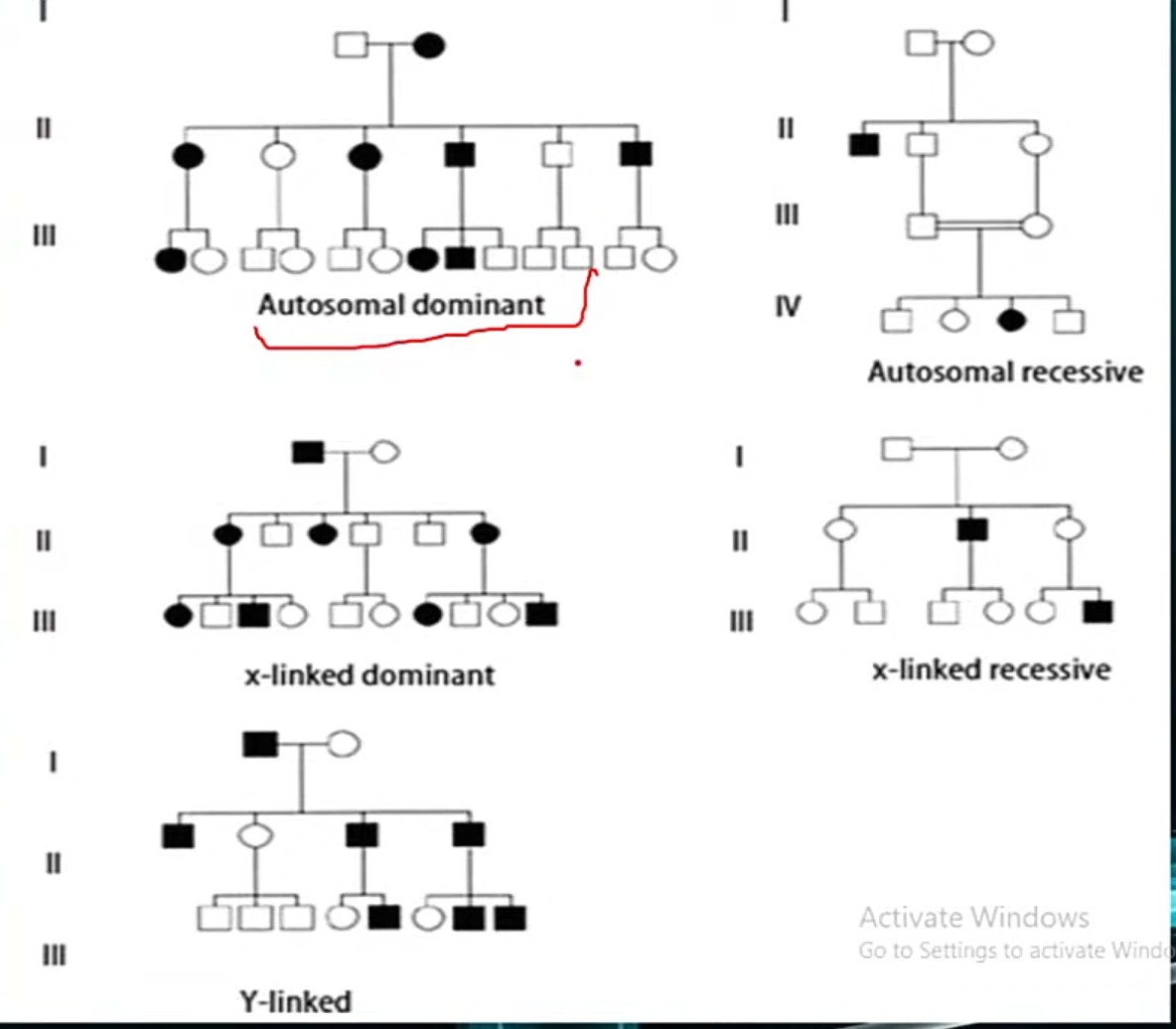 Some Pedigrees.jpeg - Life Science - Notes - Teachmint