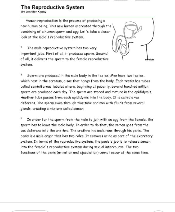 Male Reproductive System Biology Notes Teachmint