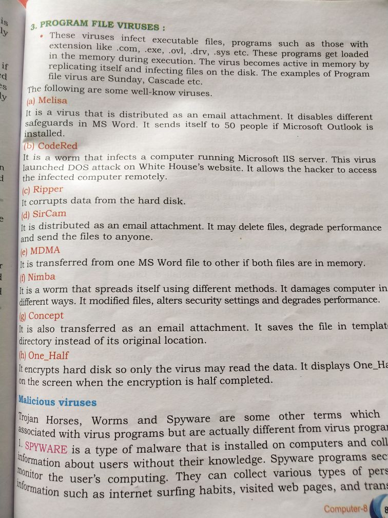 Viruses - Computer - Assignment - Teachmint