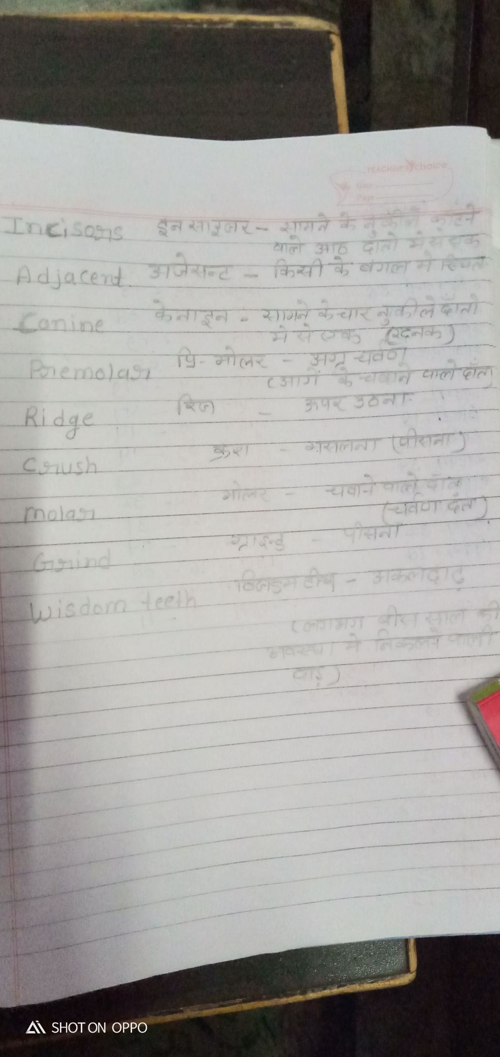 Teeth And Digestion - Science - Assignment - Teachmint