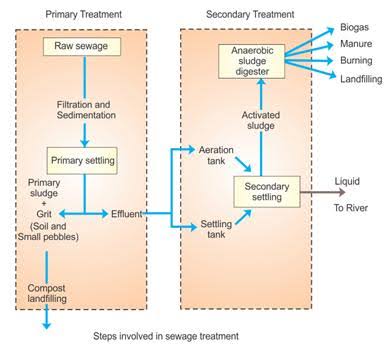 Steps in STP - BIOLOGY - Free PDF Download 2026