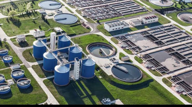 STP overview - BIOLOGY - Notes - Teachmint