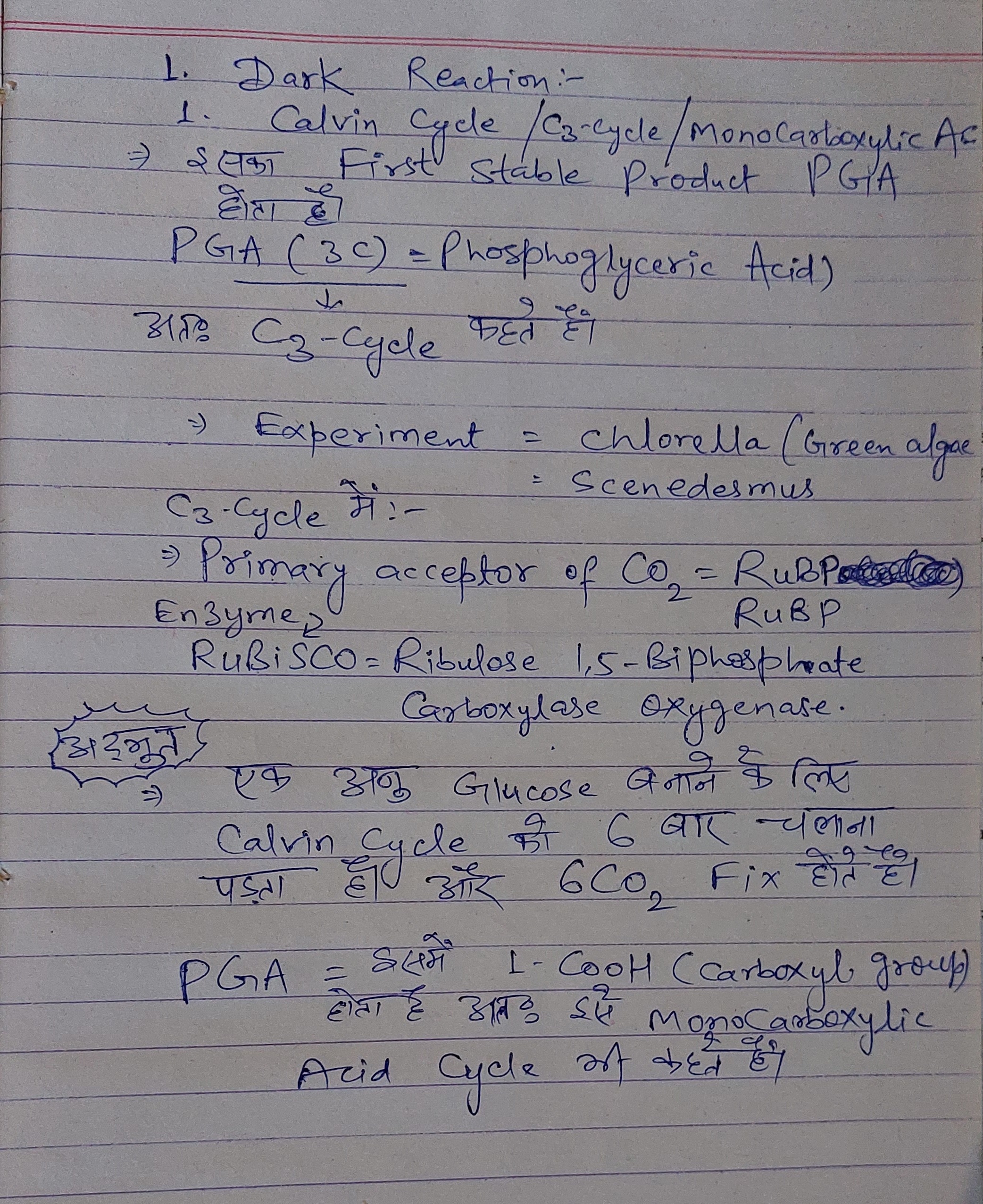 C3 Cycle 1 - BIOLOGY - Notes - Teachmint