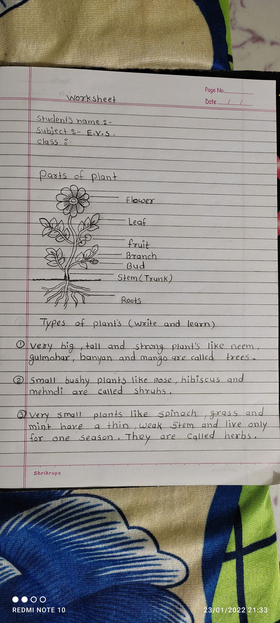 Plants Around Us - EVS - Assignment - Teachmint