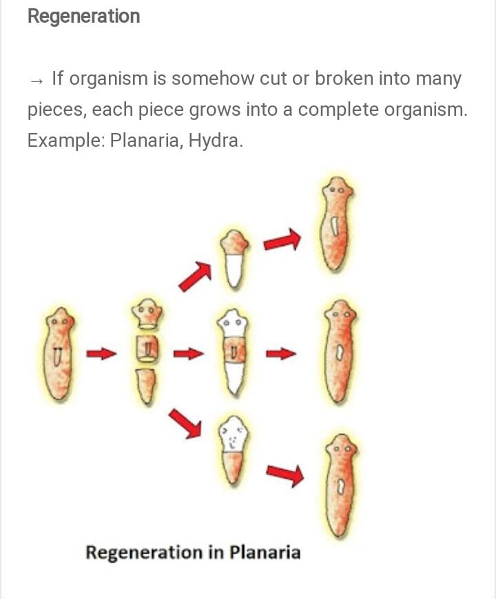 IMG-20220110-WA0004.jpg - Biology - Free PDF Download 2026