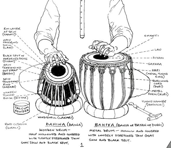images (2).jpeg - Music Classes (Tabala) - Notes - Teachmint