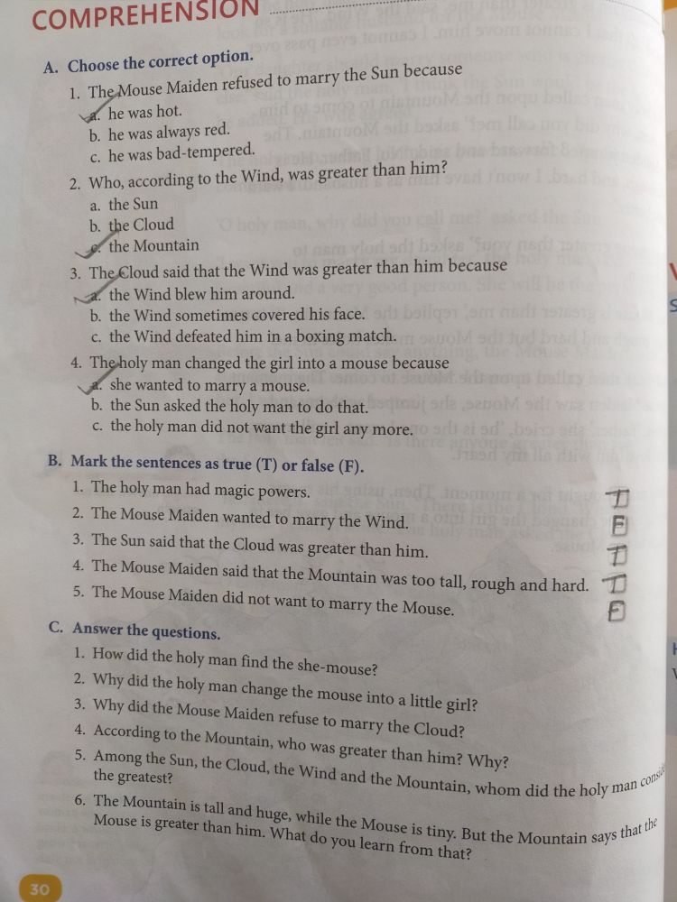 L-3 The Mouse Maiden 🐁 - English - Assignment - Teachmint