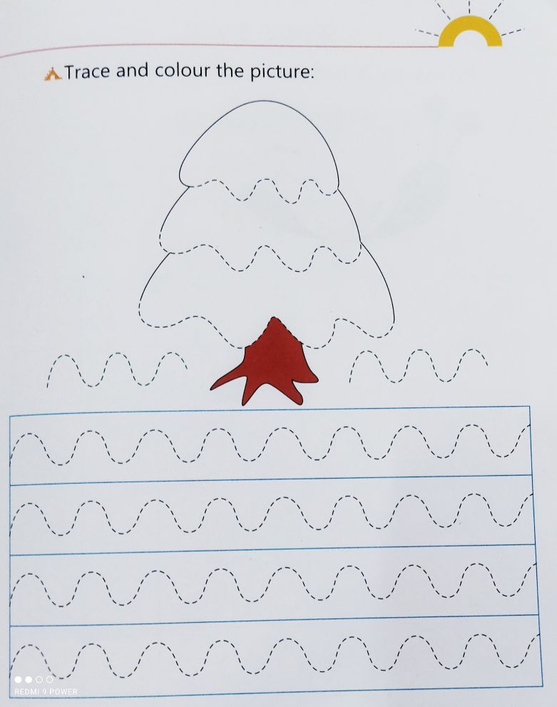 Wavy Cub Worksheet - Pattern And ABCD - Assignment - Teachmint