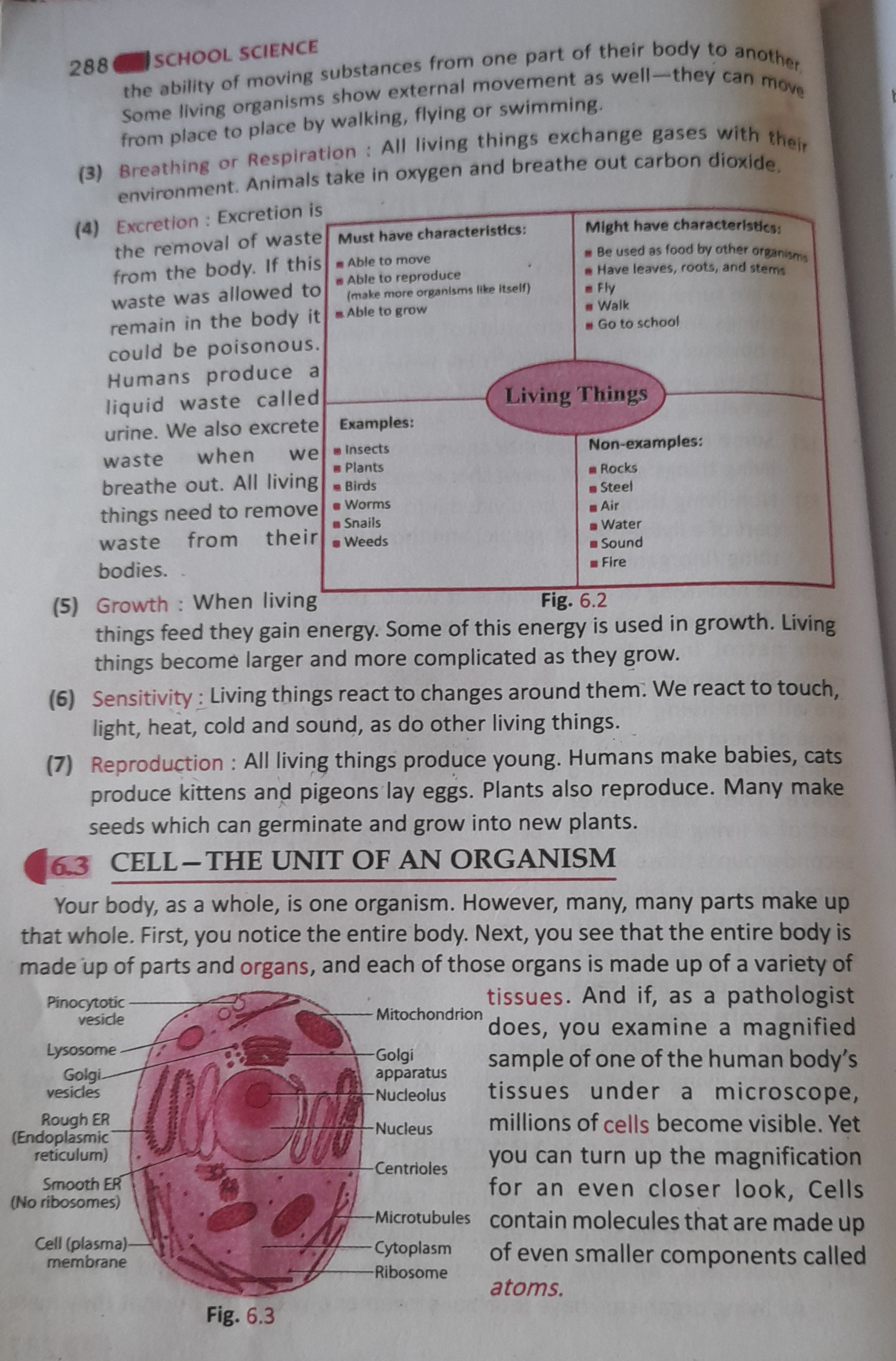 Cell - Science - Notes - Teachmint
