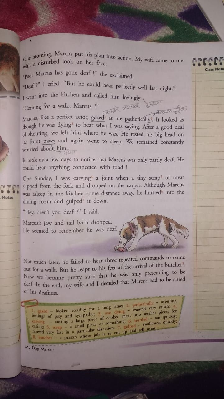 English Literature - English Literature - Assignment - Teachmint