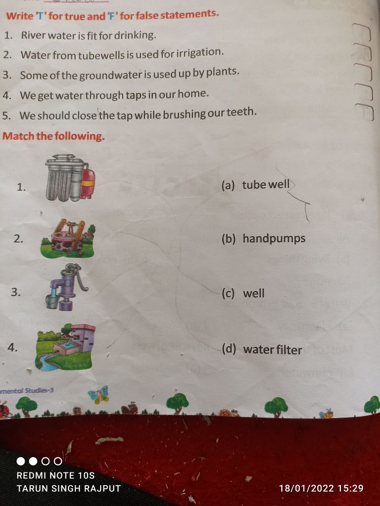 Write ️ ️ - Environmental Studies (EVS) - Assignment - Teachmint