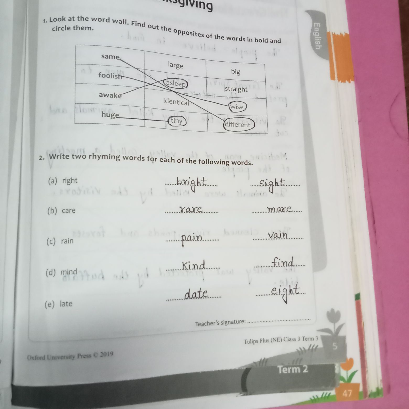 Work Sheet - ENGLISH - Assignment - Teachmint