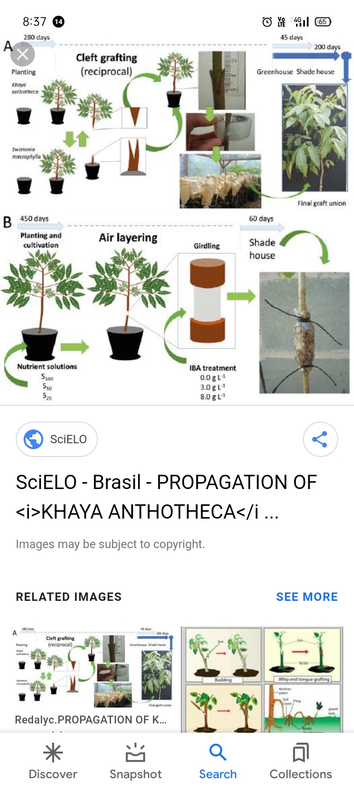 Reproduction In Plants - Maths - Notes - Teachmint