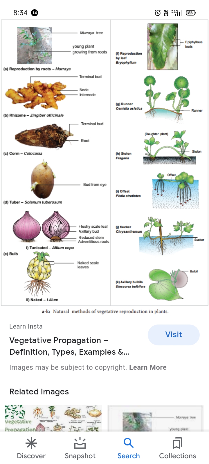Reproduction In Plants - Maths - Notes - Teachmint