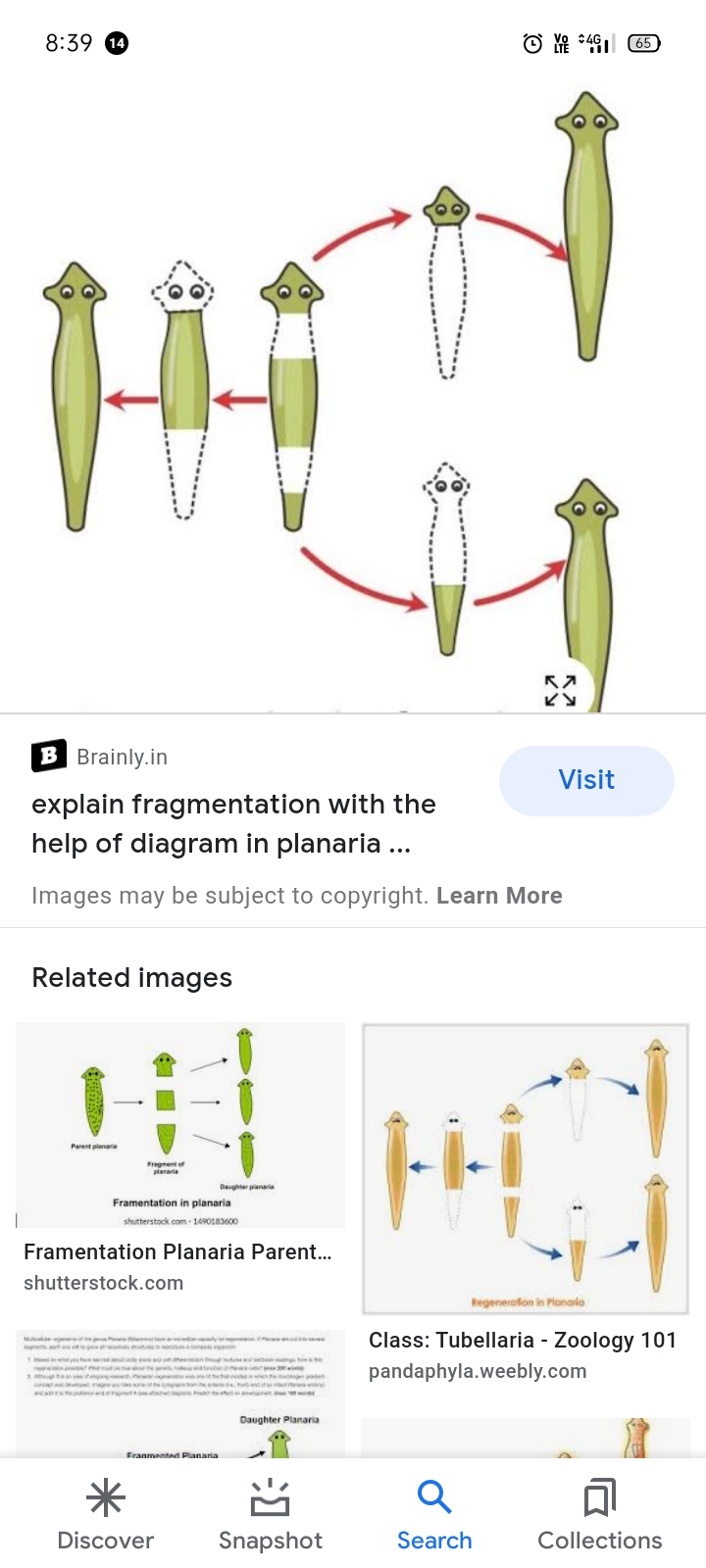 Reproduction In Plants - Maths - Notes - Teachmint