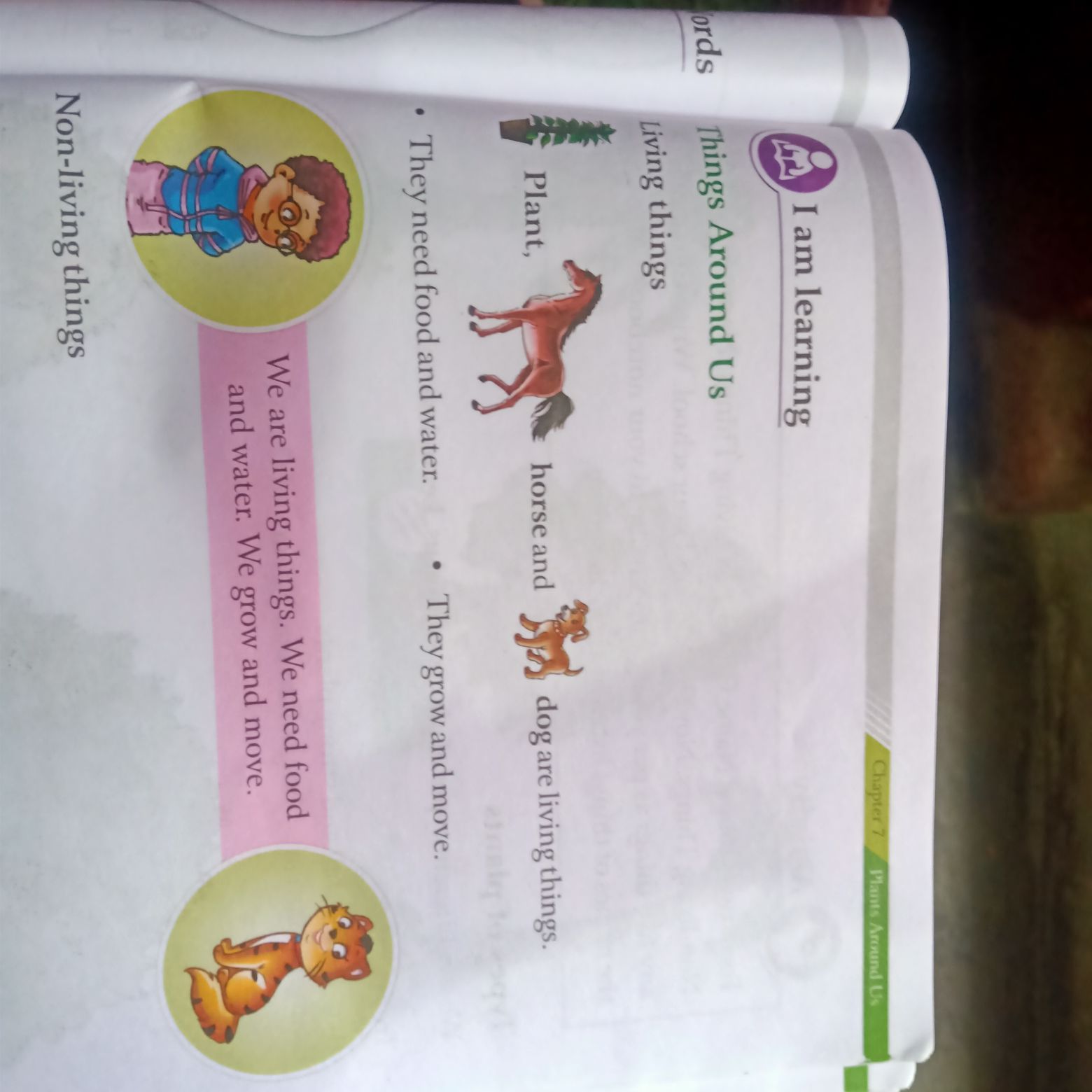 Lesson 7 Revision - Environmental Studies (EVS) - Assignment - Teachmint