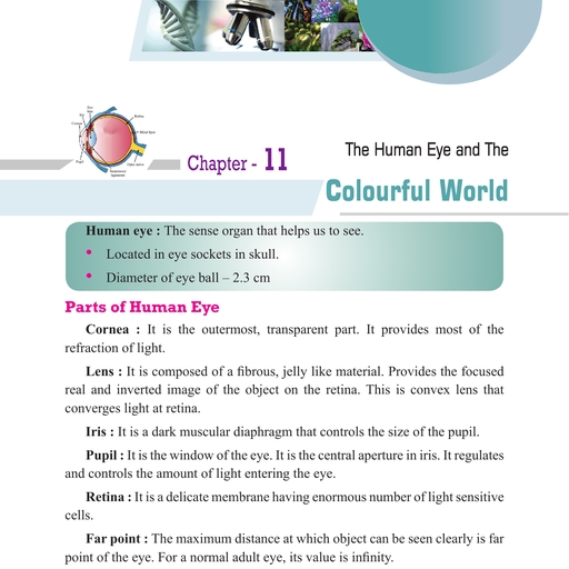 Human Eye Notes - Science 🔭🧪🧫 - Notes - Teachmint