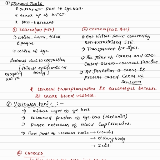 Eyes Notes - Biology - Free PDF Download 2026
