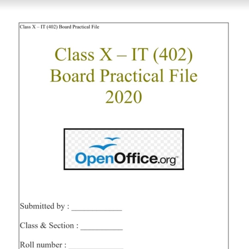 practicalfilework.pdf - Information Technology - Notes - Teachmint