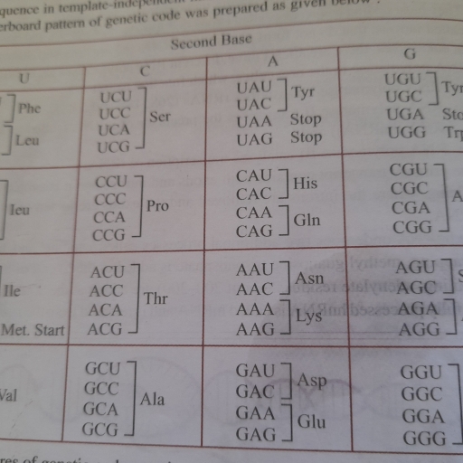 Genetic Code Chart - BIOLOGY - Notes - Teachmint