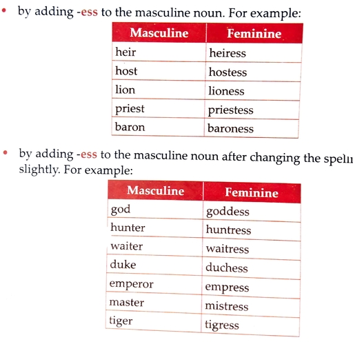 Gender_notes.pdf - English - Notes - Teachmint