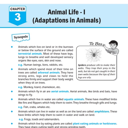 Adaptations In Animals - Mathematics - Assignment - Teachmint