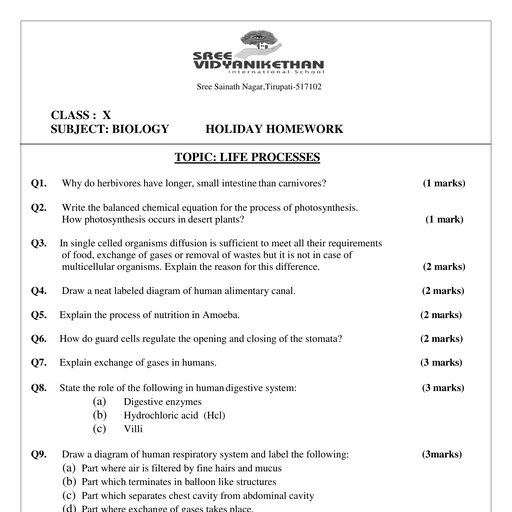 class-10-holiday-homework - Science - Free PDF Download 2026