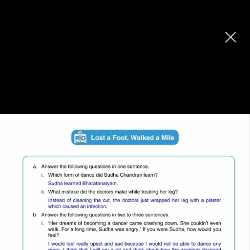 Lost a Foot, Walked A Mile - ELGA - Assignment - Teachmint