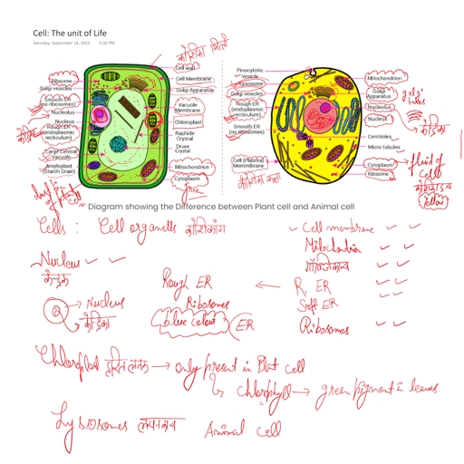 Cell the Unit of Life - Biology - Notes - Teachmint