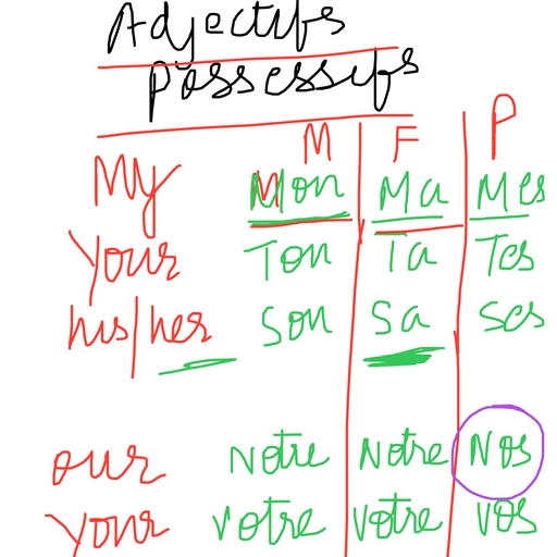 Possessif adjective - French - Notes - Teachmint