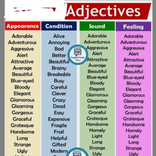Adjectives - English - Assignment - Teachmint