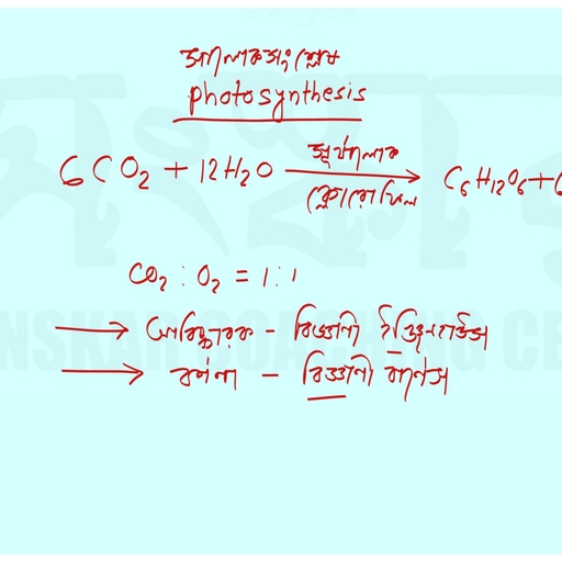 Photosynthesis - Biology - Notes - Teachmint