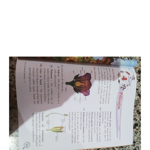 pollination chapter 4.pd - All Subjects - Notes - Teachmint
