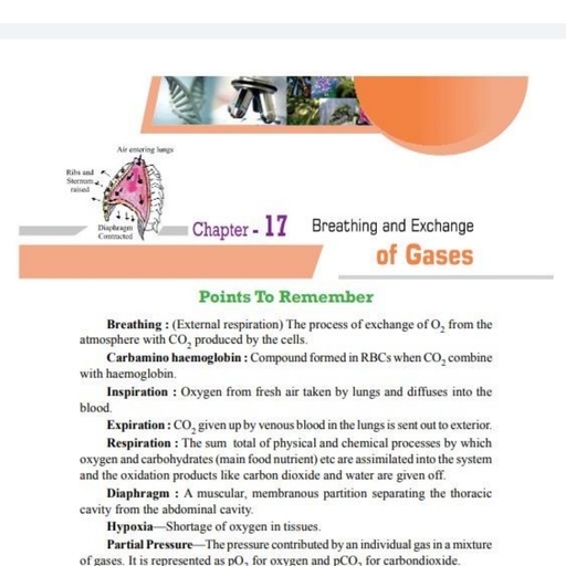 Respiration and breathing - Home Science - Notes - Teachmint