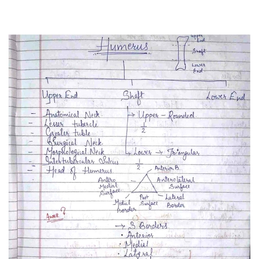 humerus .pdf - Anatomy - Notes - Teachmint