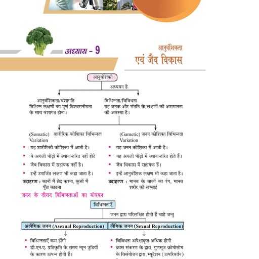 biology chapter 4 notes - All Subjects - Notes - Teachmint
