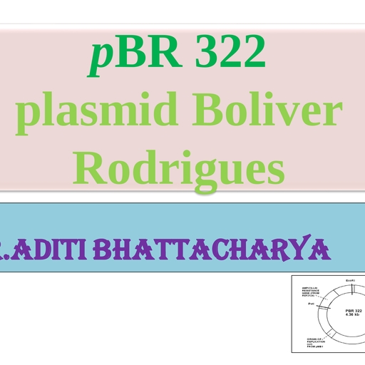 pBR 322 12-12-2015.pdf - Recombinant DNA Technolog - Notes - Teachmint