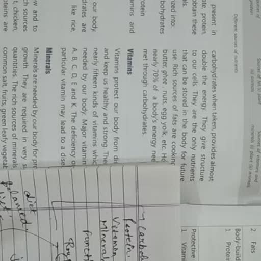 Balanced diet - Science - Notes - Teachmint