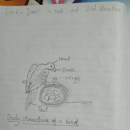 Draw Diagram - Evs - Notes - Teachmint