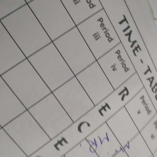 Diary - EVS - Assignment - Teachmint