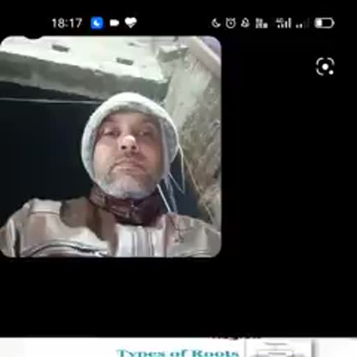 Modification of root.mp4. - Biology - Notes - Teachmint